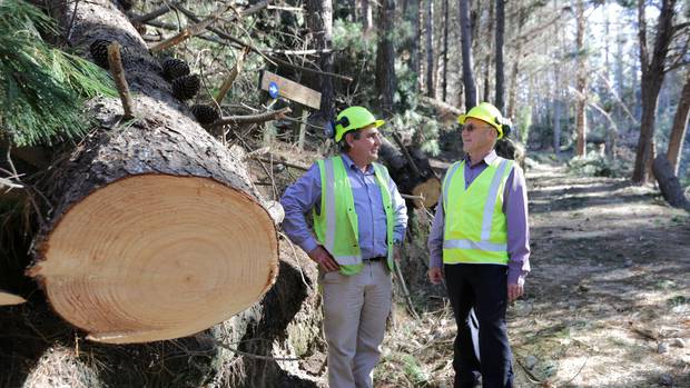 Safety high priority at Pan Pac Forest Products